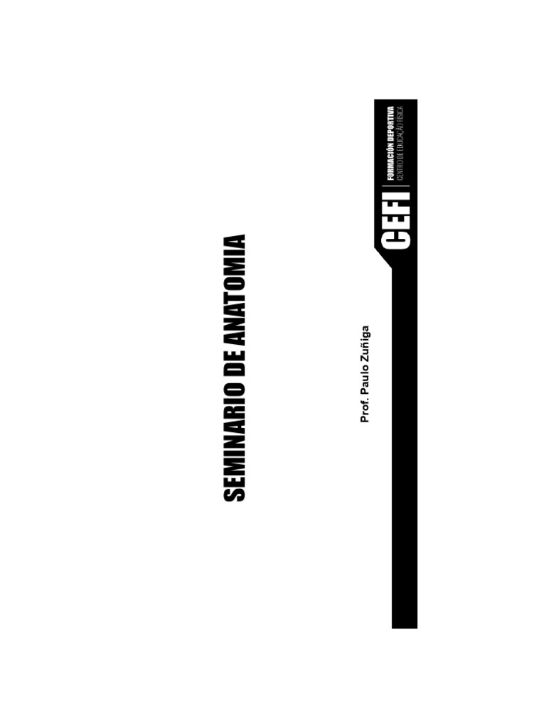 Clase Anatomia 1 Pdf