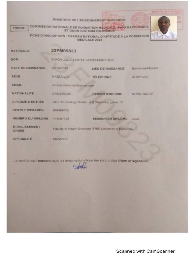 Individual Sheet | PDF