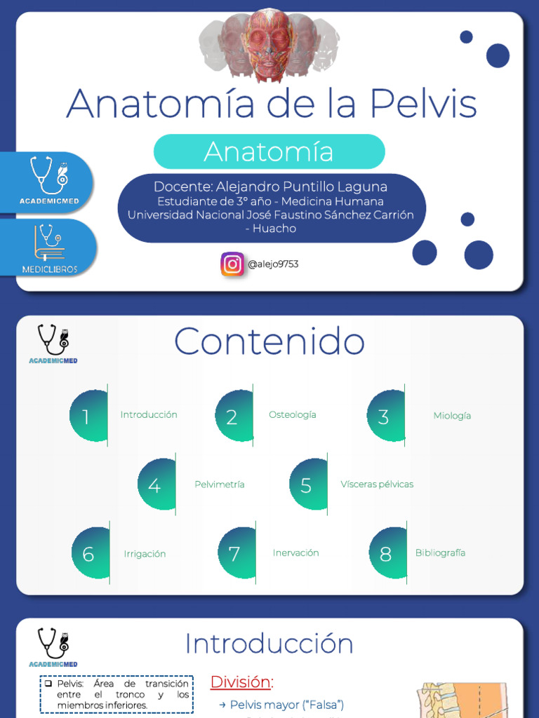 2022 Ii Anatomia Pelvis | PDF | Pelvis | Anatomía