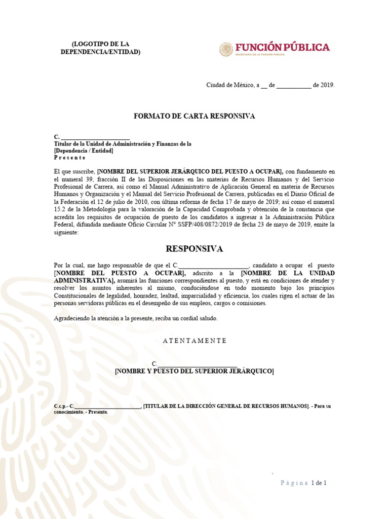 Formato de Carta Responsiva 2019 | PDF