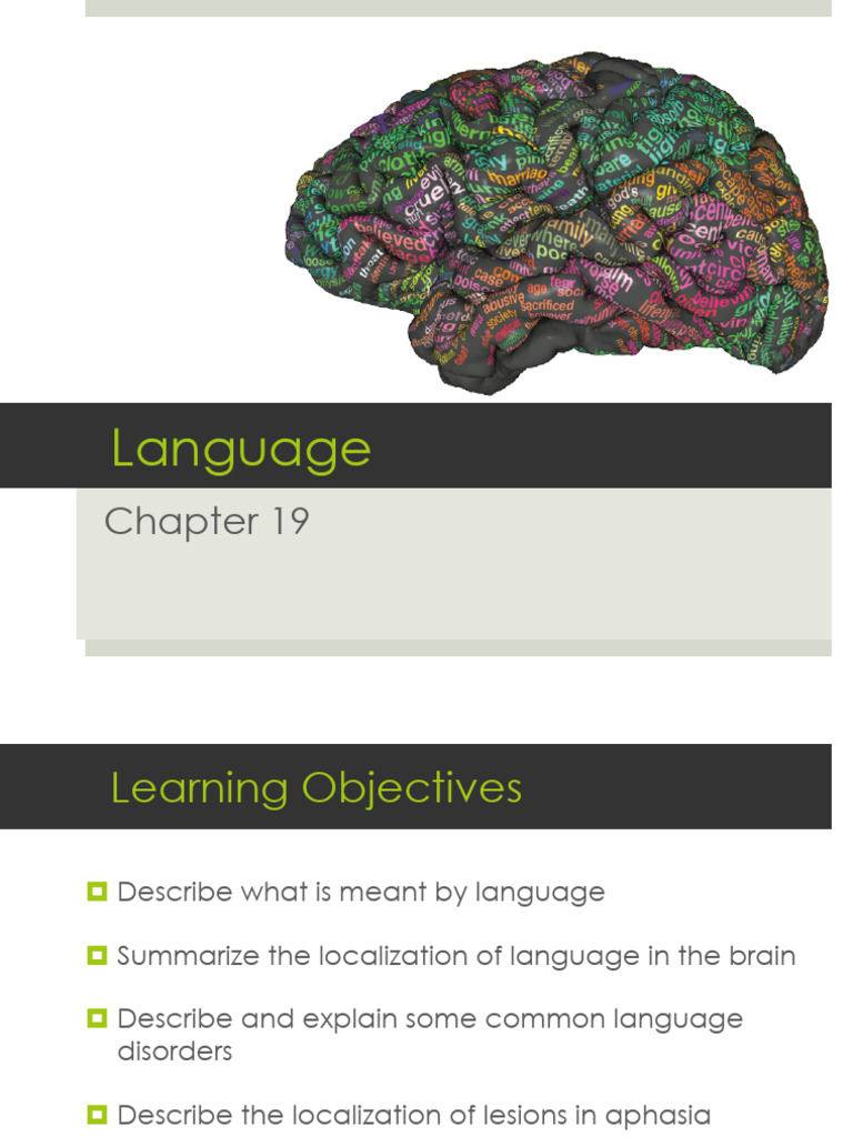 FullSlides Ch19 Language | PDF | Aphasia | Speech