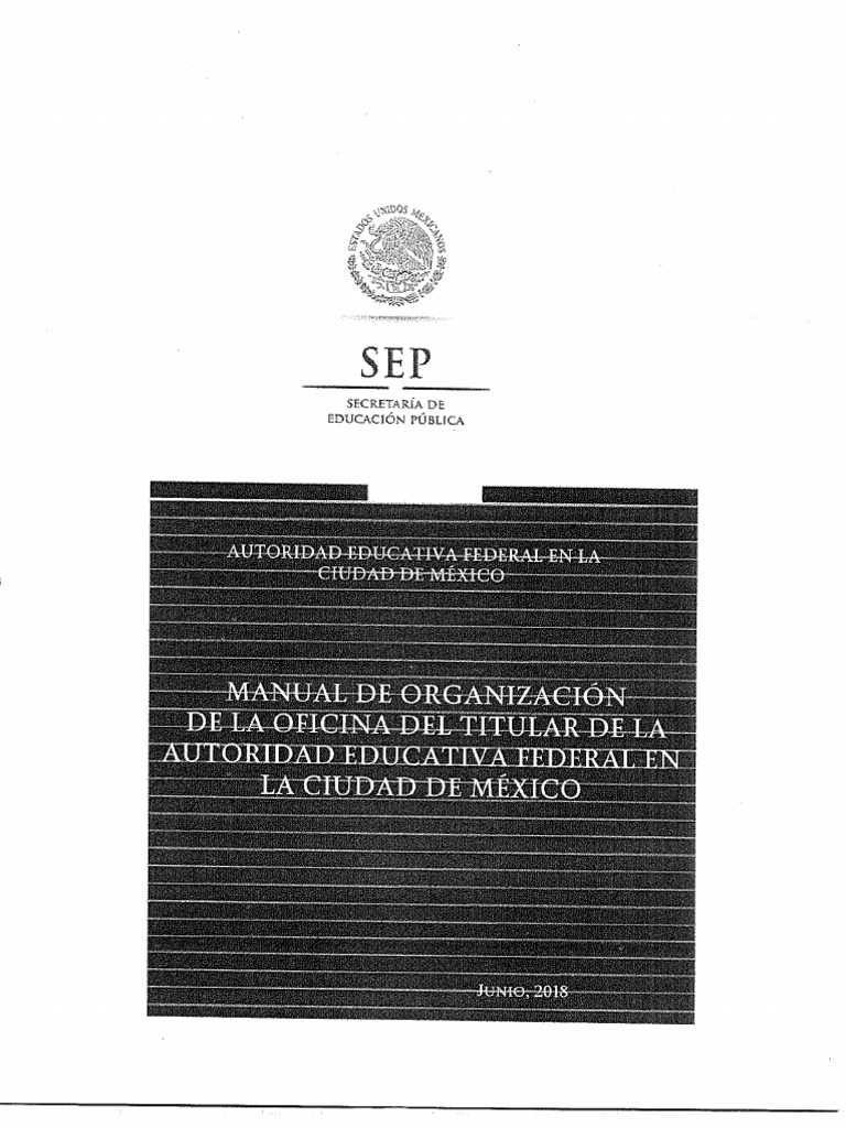 Mo-Aefcm Autorizado | PDF