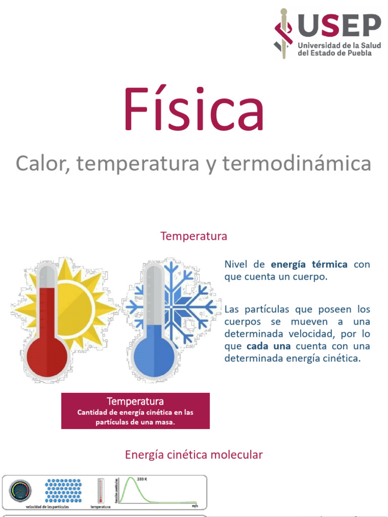 Calor y Temperatura: Conceptos Clave | PDF | Ciencia y matemáticas