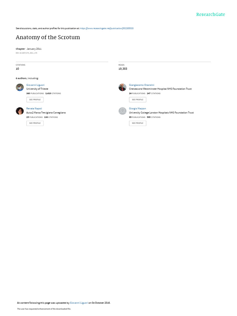 Anatomy of the Scrotum | PDF | Testicle | Anatomy