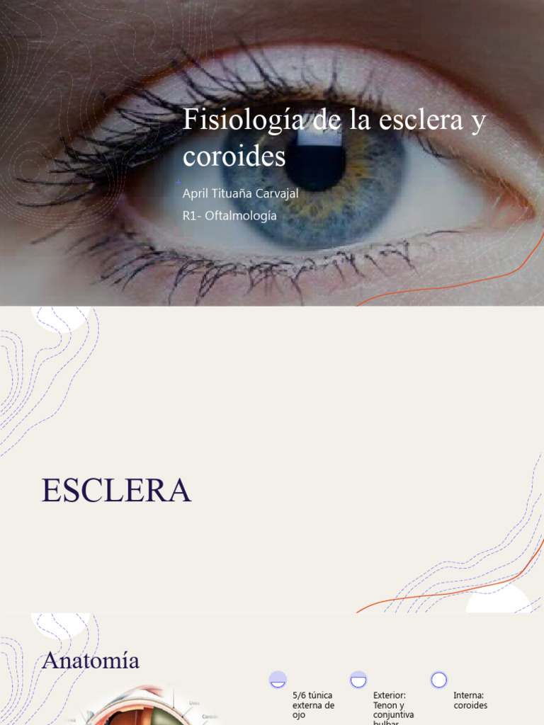 Fisiología de La Esclera y Coroides | PDF | Ojo | Anatomía
