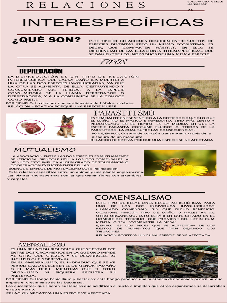 Tipos de Relaciones Interespecíficas | PDF | Depredación | Especies