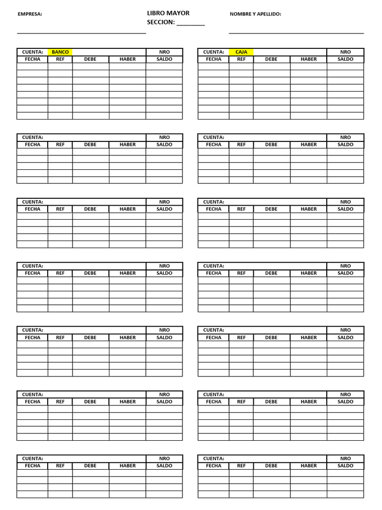 Libro Mayor Formato | PDF | Derecho