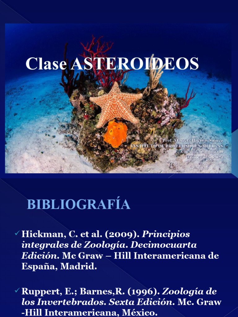 EQUINODERMOS y Clase Asteroidea | PDF | Zoología | Biología