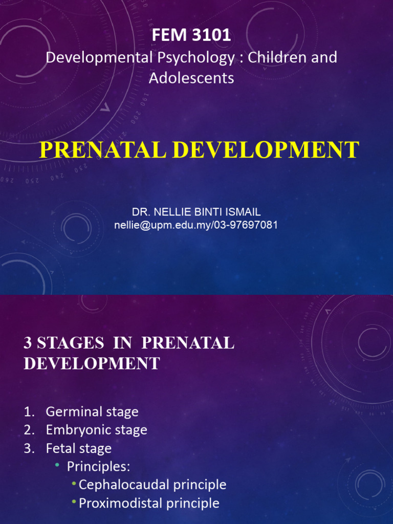 Notes - Week 2 - Prenatal Development | PDF | Childbirth | Menstrual Cycle
