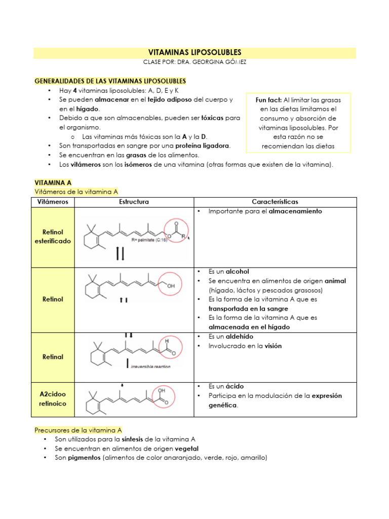 B11. Transcripción Vitaminas Liposolubles - Dra. Gómez | PDF | Vitamina ...