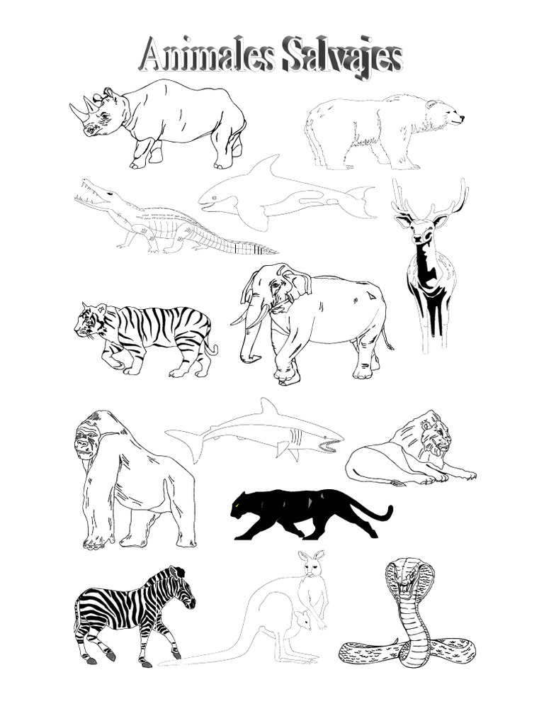 animales salvajes | PDF