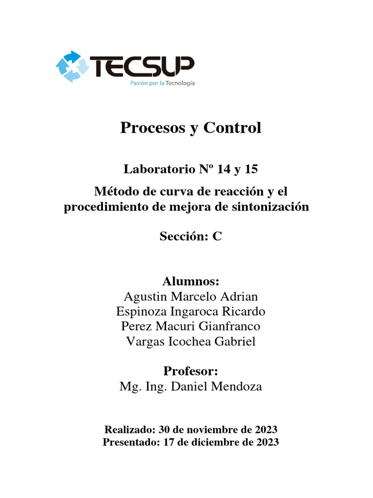 Lab 14 y 15 Procesos | PDF | Ingeniería | Business