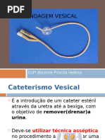 Controle de Diurese em Enfermagem | PDF | Enfermagem | Micção