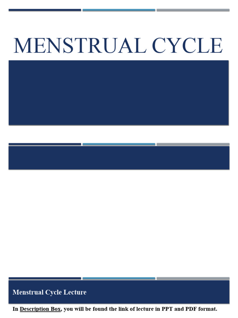Menstrual Cycle 2 | PDF | Menstrual Cycle | Endocrine System