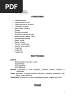 Anatomia da Laringe: Estruturas e Funções | PDF | Laringe | Anatomia humana
