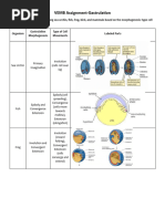 Starfish Embryonic Development Overview | PDF | Zoology | Morphology ...