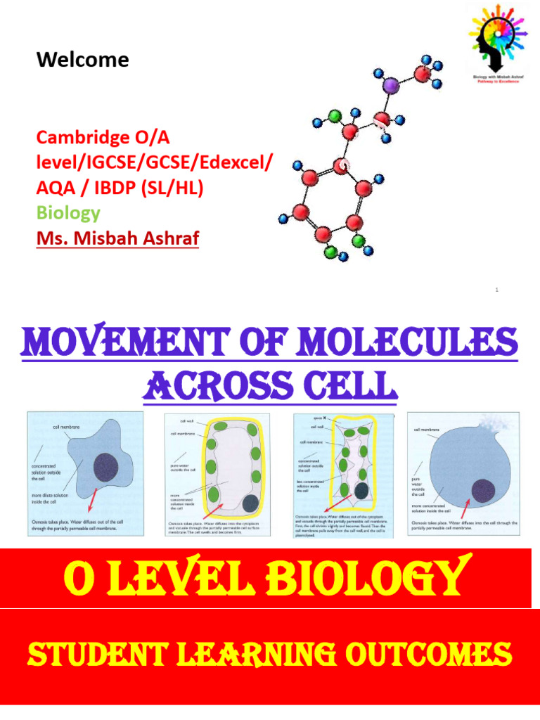 (Chapter 3) Movement of Molecules Across Cells | PDF | Osmosis | Biology