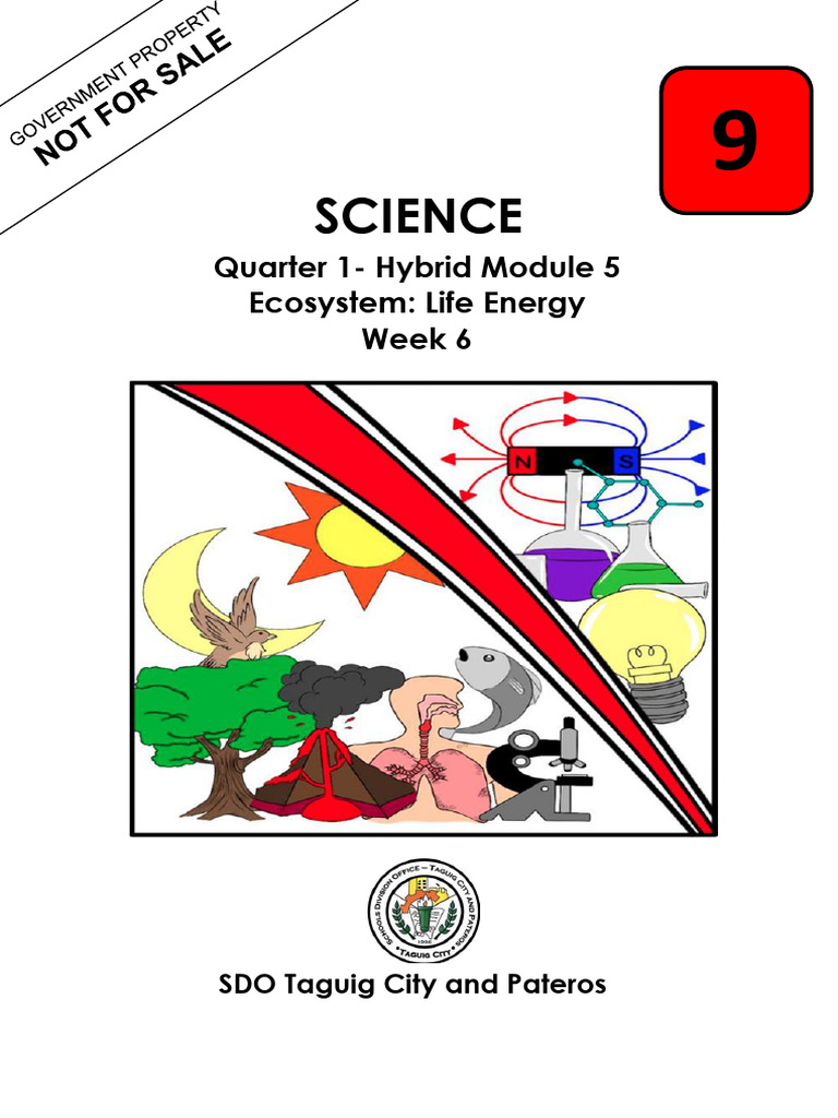 Q1-M5-Week-6 SCIENCE 9 | PDF | Cellular Respiration | Photosynthesis