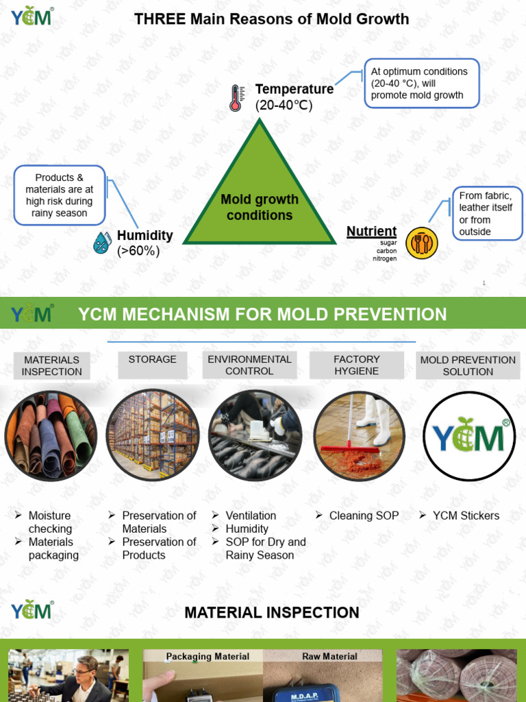 Mold Prevention for Factories | PDF | Humidity
