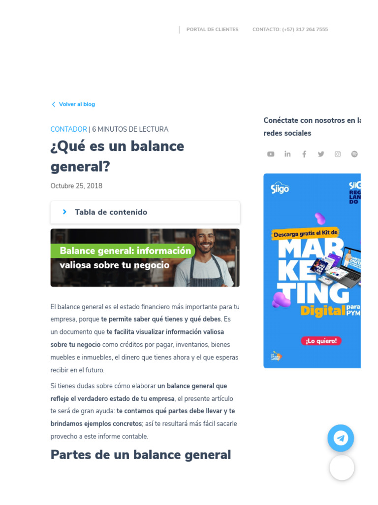 ¿Qué Es Un Balance General - Definición, Contenido y Ejemplos | PDF ...