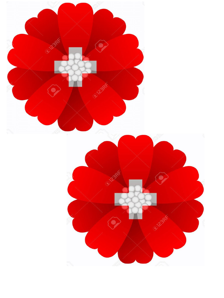 Banderas Flores | PDF