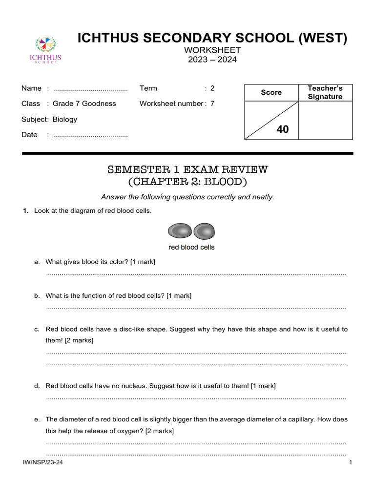 SA1 Review (Chapter 2) TERM2 | PDF | Blood | Blood Type
