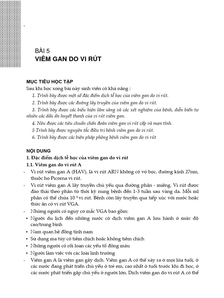 Viêm Gan Virus | PDF