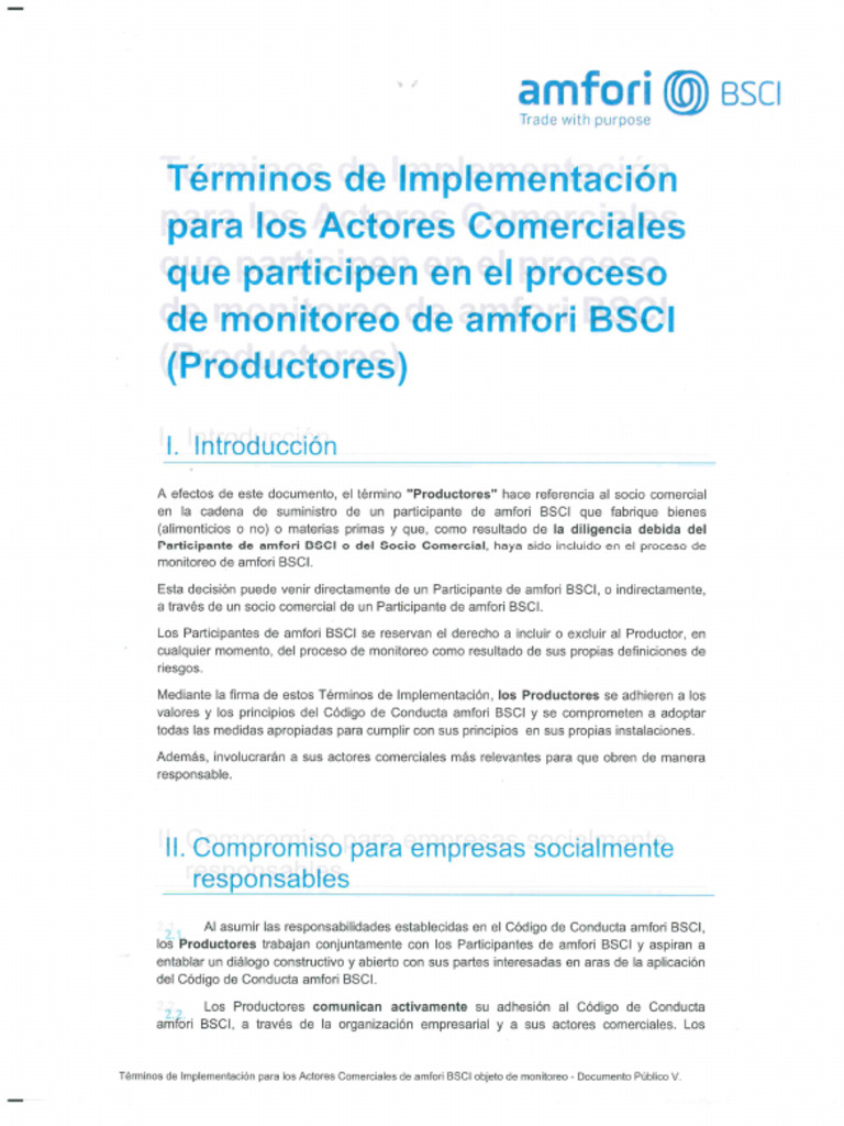Terminos de Implementación BSCI-Ok | PDF