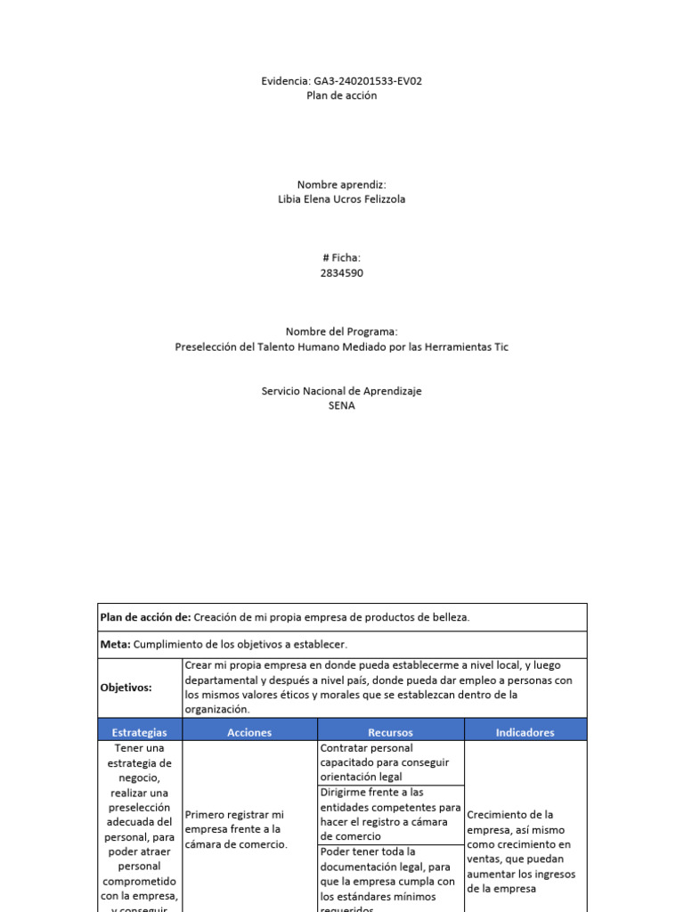 Anexo_Plan_de_accion | PDF | Business | Publicidad