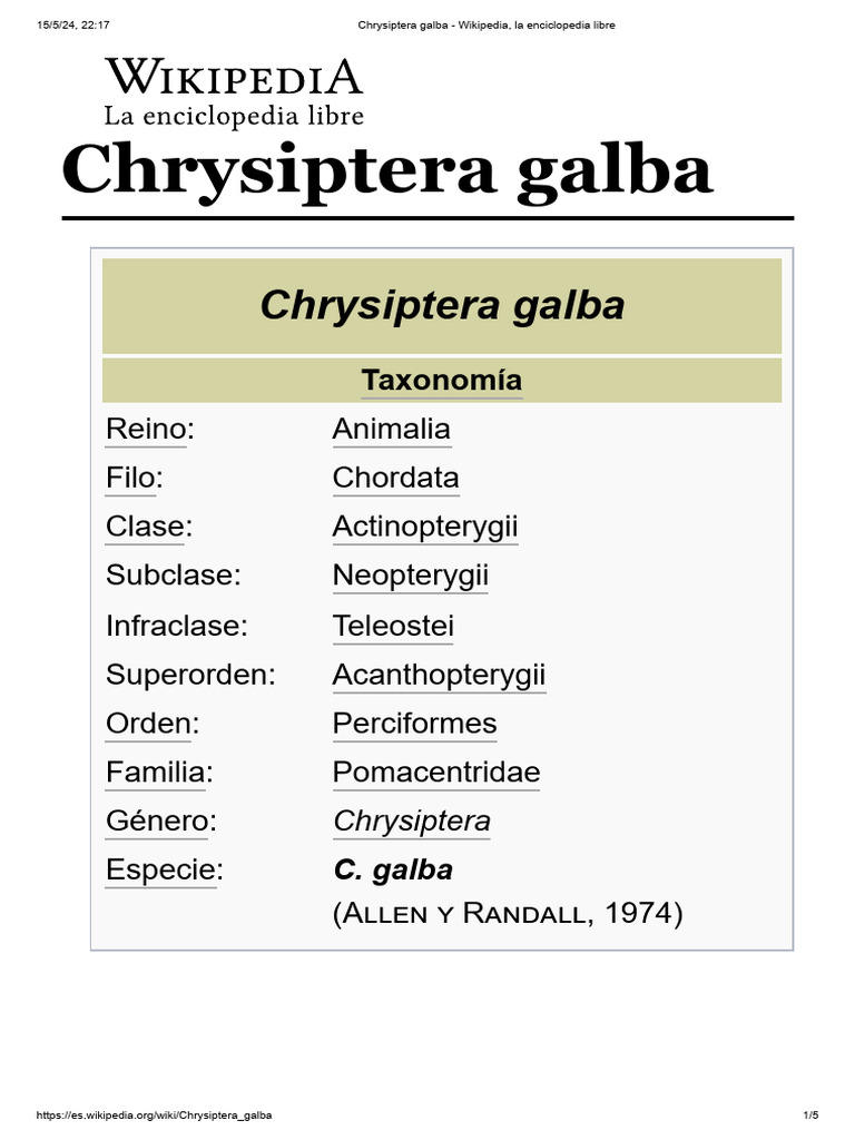 Chrysiptera Galba - Wikipedia, La Enciclopedia Libre | Descargar gratis ...