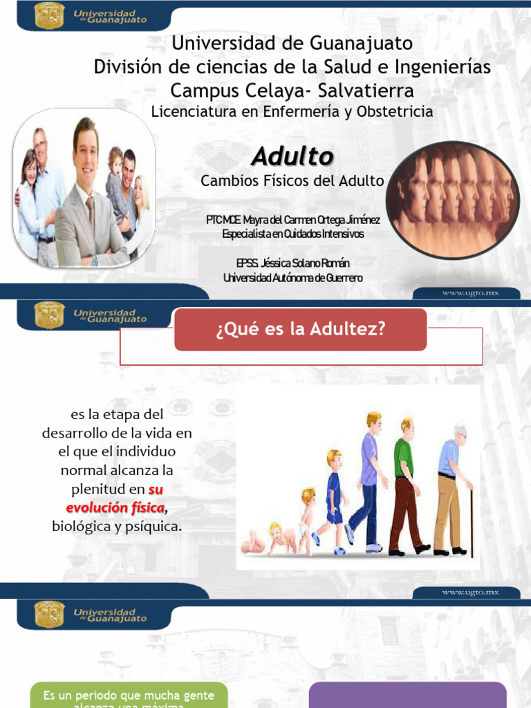 3.1cambios Físicos Adulto - Jess PDF | PDF | Relaciones personales, crianza y desarrollo ...