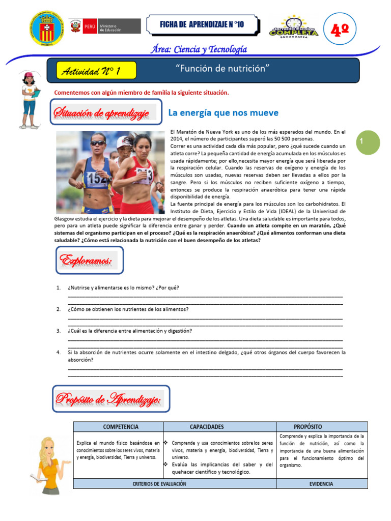 Ficha Autoaprendizaje N°10 - Eda 3 | PDF | Digestión | Nutrición