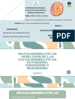 Capas Germinales | PDF | Embrión | Procesos biologicos