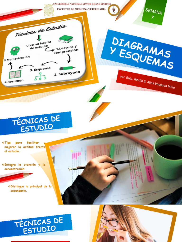 Diagrama Esquemas | PDF | Información