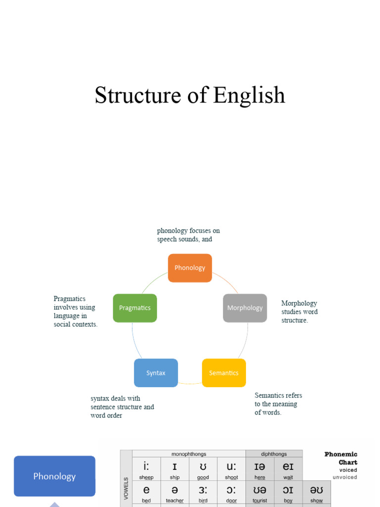 Structure of English | PDF | Word | Verb
