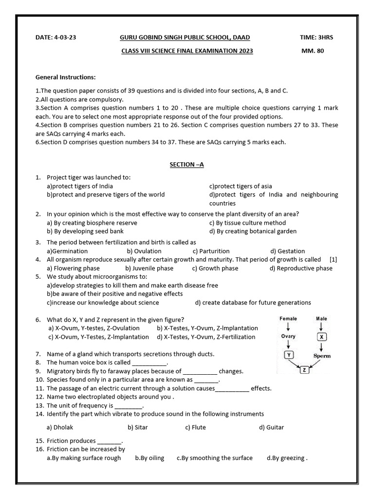 8th Paper 2023 March | PDF | Friction | Sound