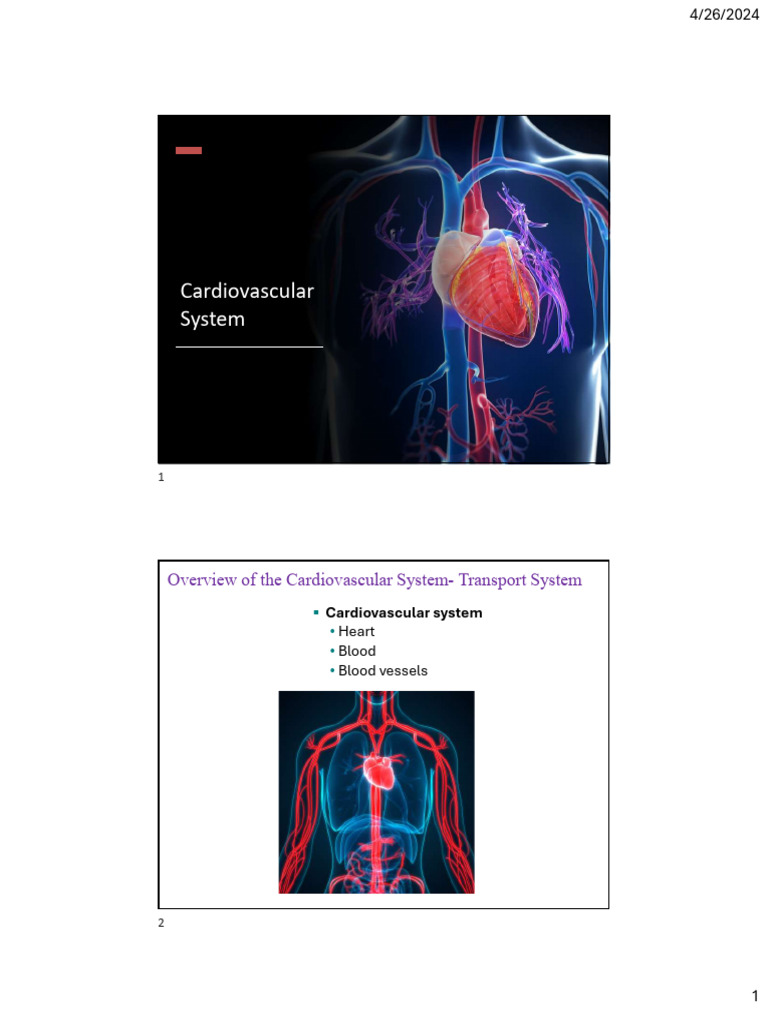 Cardiovascular System | PDF | Heart Valve | Heart