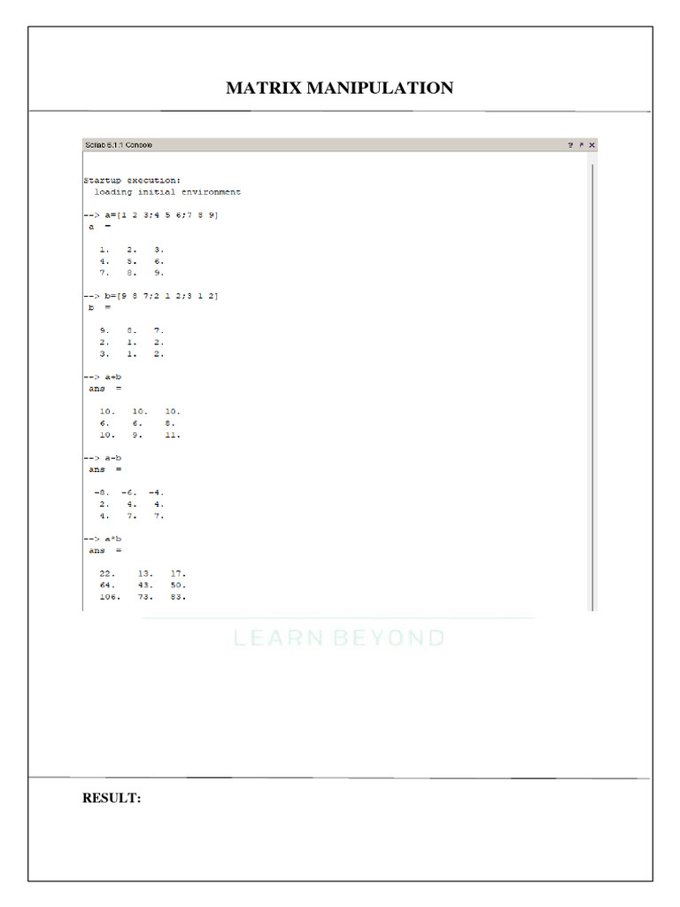 Matrix Manipulation Techniques Explained | PDF | Science & Mathematics