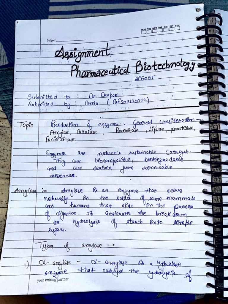 Writing Partner Assignment Guide | PDF