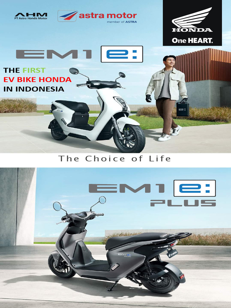 EM1 Brochure | PDF