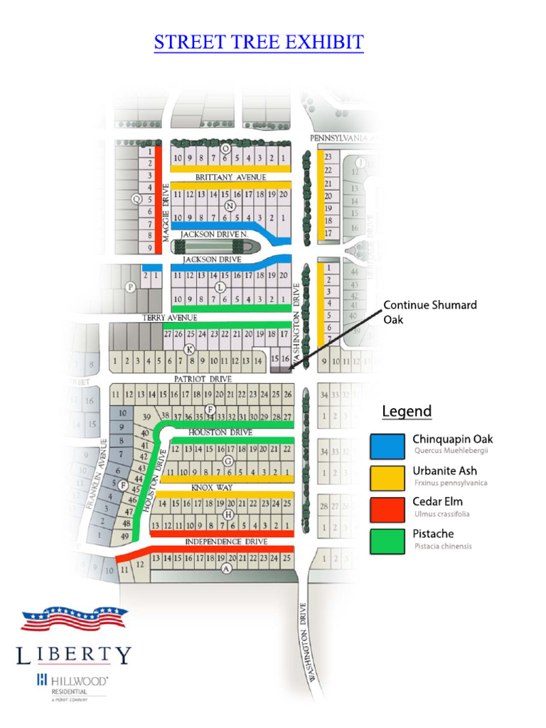 Liberty Street Tree plan | PDF