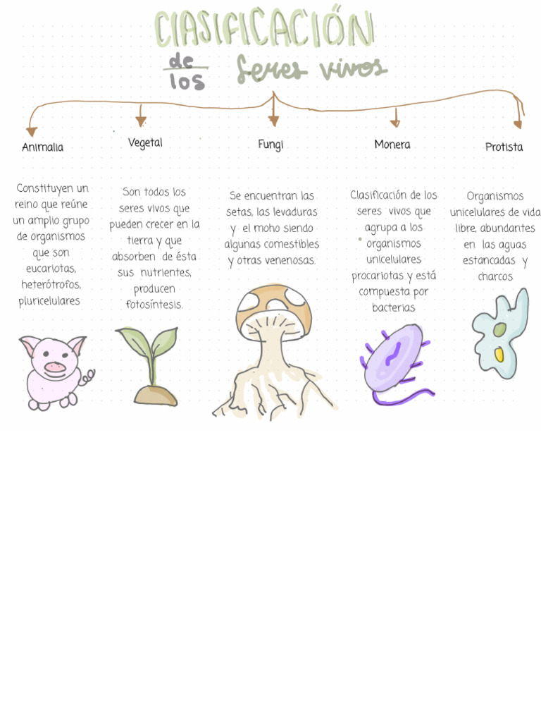 Mapas, Biología | PDF