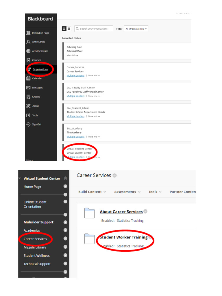 Updated SWT Screen Shot Instructions | PDF