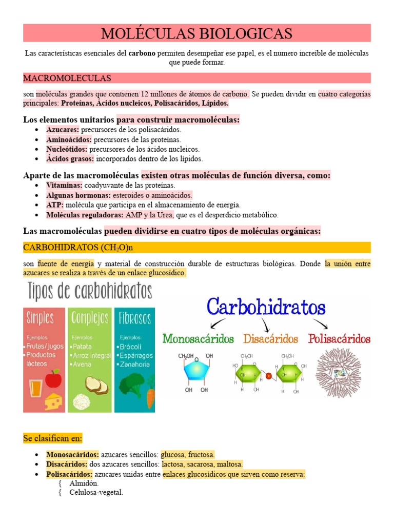 Moléculas Biologicas | Descargar gratis PDF | Rna | Adn