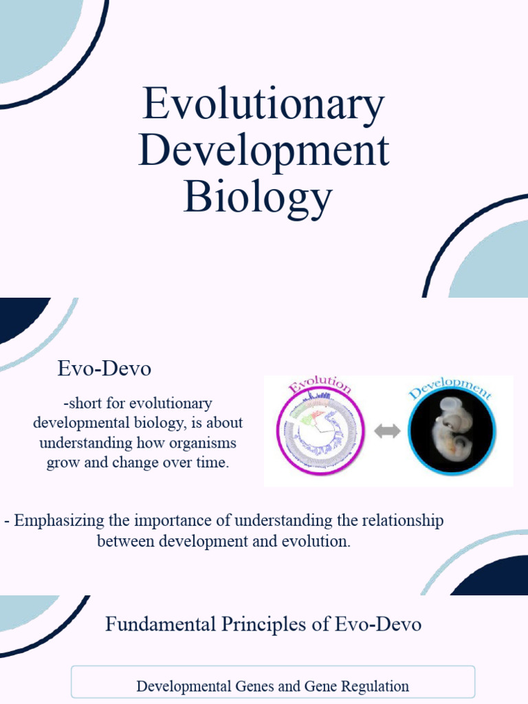 Evolutionary Development | PDF | Evolution | Evolutionary Developmental ...