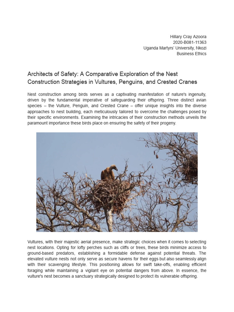 Bird Nests | PDF | Birds | Penguin