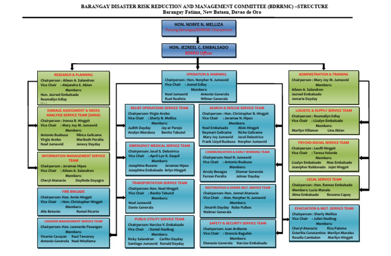 Barangay Disaster Risk Reduction Structure | PDF | Risk Management | Safety