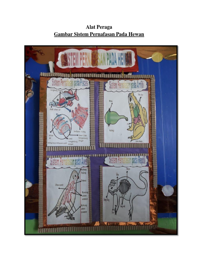 B. Alat Peraga (Gambar Sistem Pernafasan Pada Hewan) | PDF