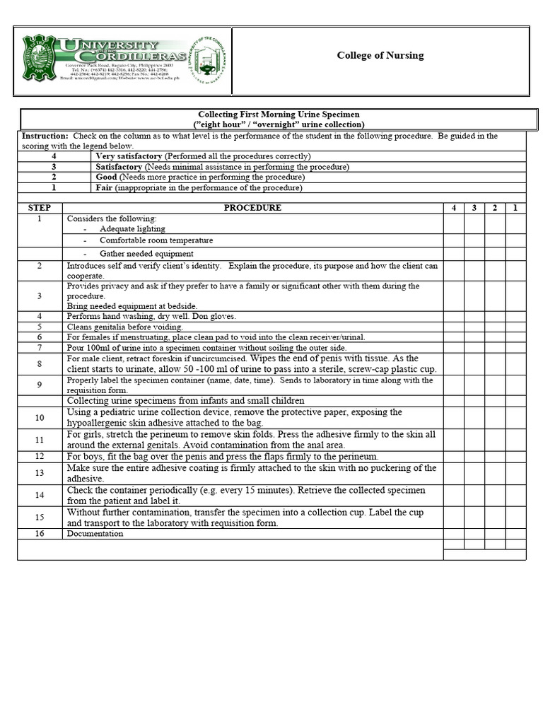 Morning Urine Specimen | PDF
