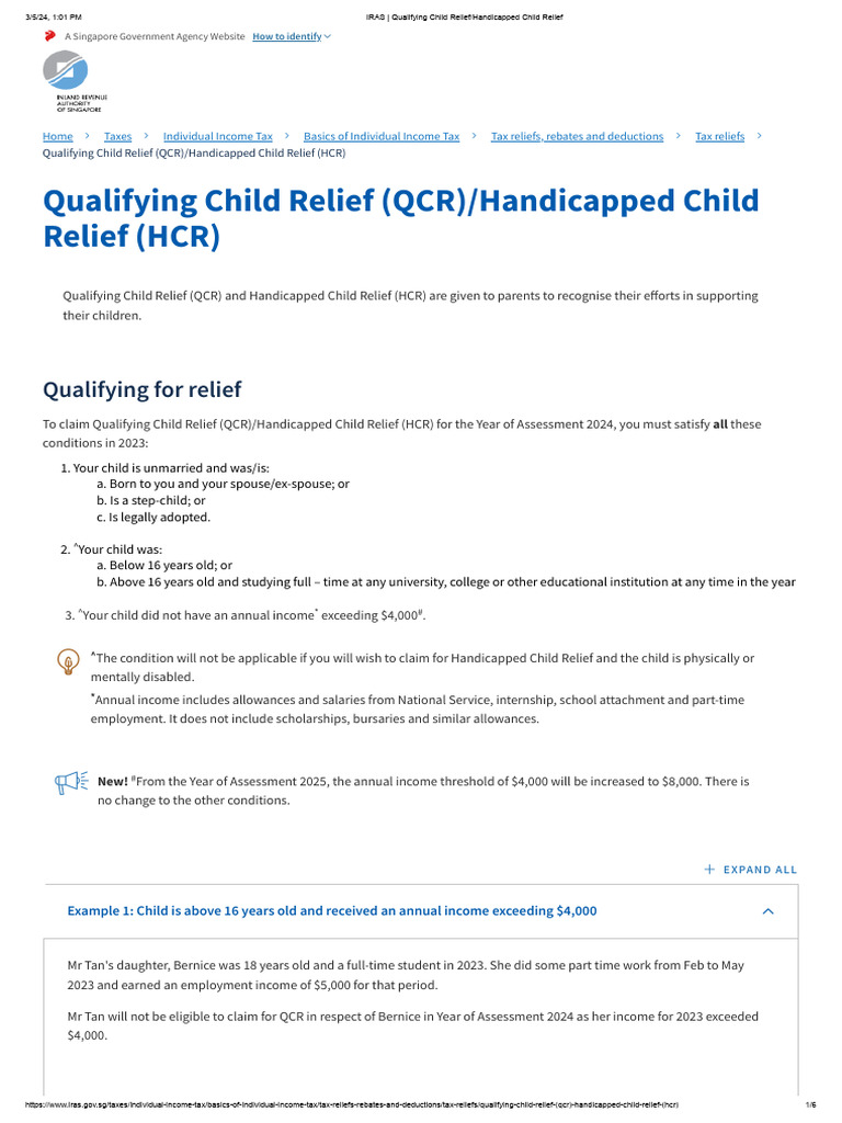 IRAS - Qualifying Child Relief - Handicapped Child Relief | PDF ...